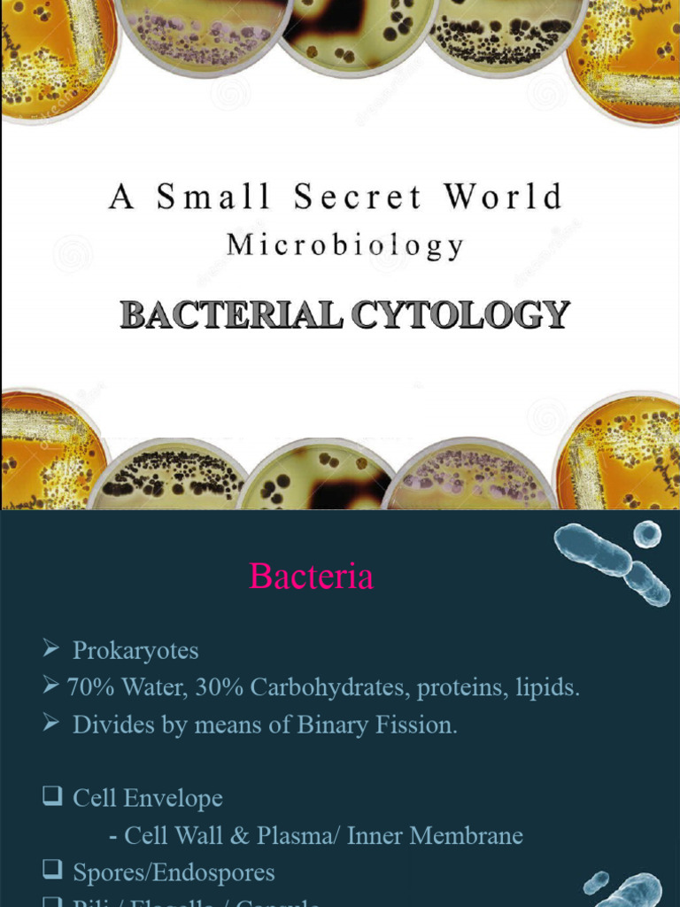 MICROBIO | PDF | Gram Positive Bacteria | Biology