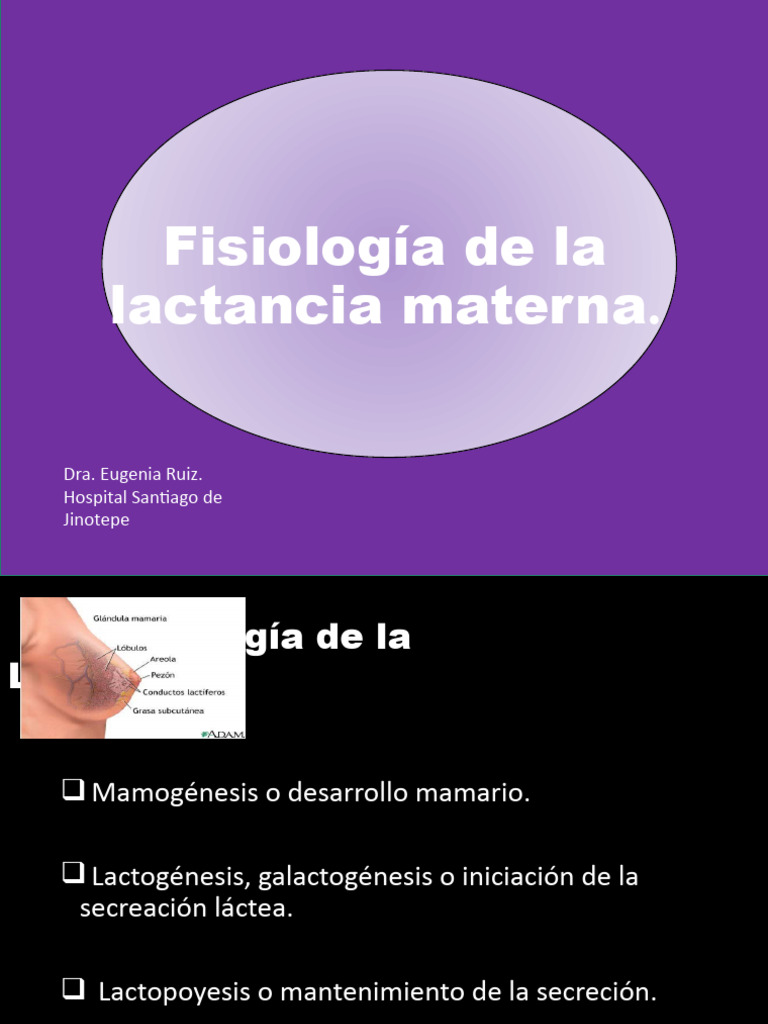Fisiología De La Lactancia Materna Pdf Pecho Lactancia 3539