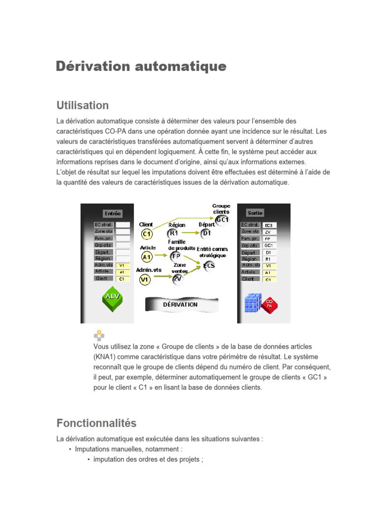Dérivation Automatique (Bibliothèque SAP - Analyse Du Compte de | PDF