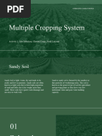 Pechay Growth and Production Guide | PDF | Sowing | Seedling