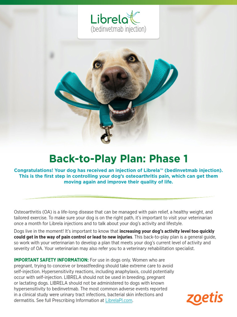 Librela Professional Back To Play Fitness Plan 3 Phases, US | PDF ...