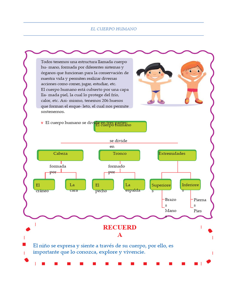 Cuerpo Humano para Niños: Actividades y Partes | PDF | Mano | Cuerpo humano