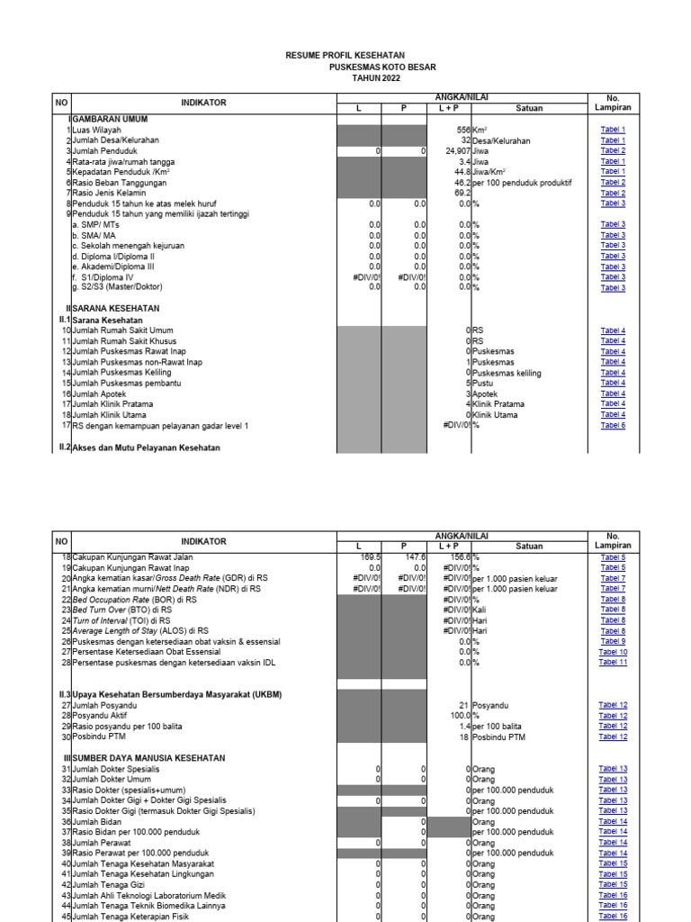Lampiran-Juknis-Profil-Kes - 2022 KT Besar. Perbaikan-1 | PDF