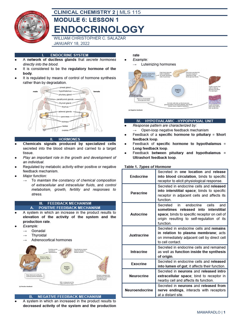 Cc2 l5 Endocrinology | PDF | Endocrine System | Hormone