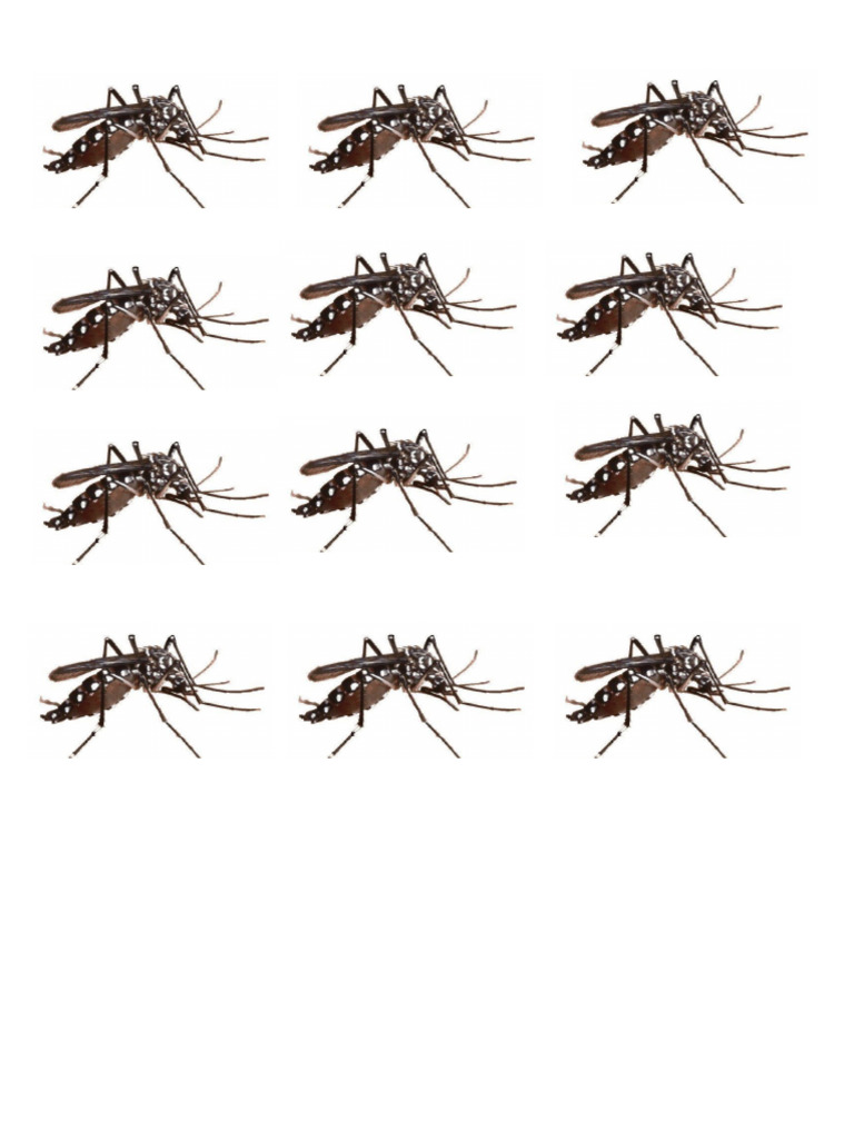 Nyamuk | PDF