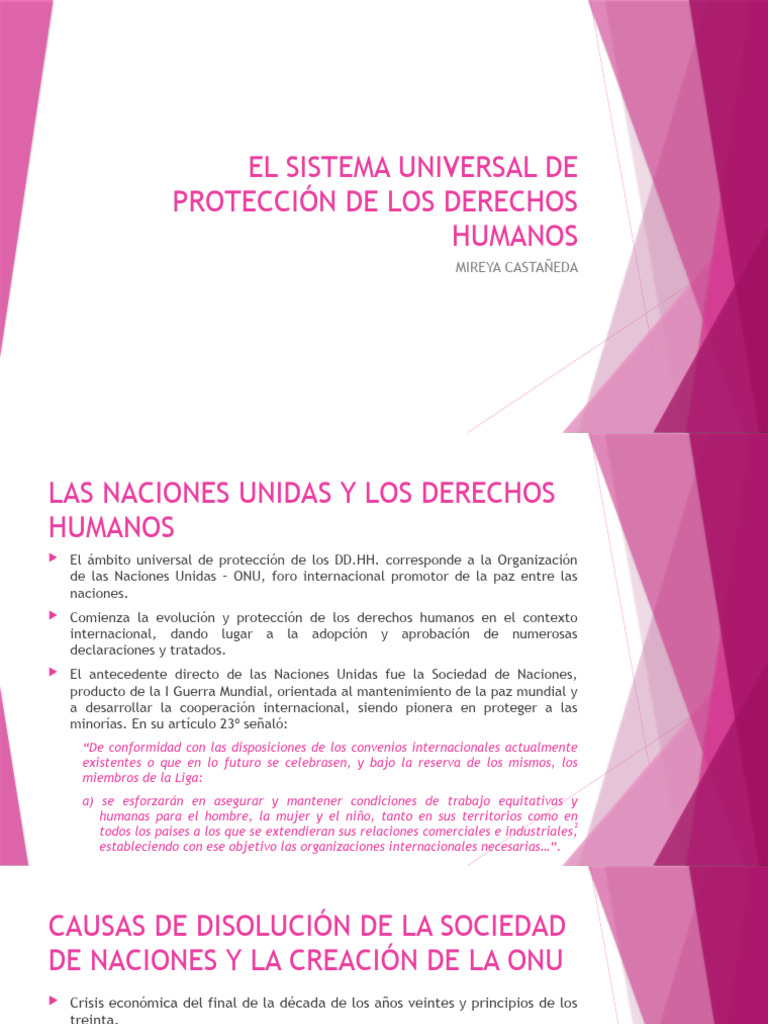 El Sistema Universal De Protección De Los Dd Hh Pdf Naciones