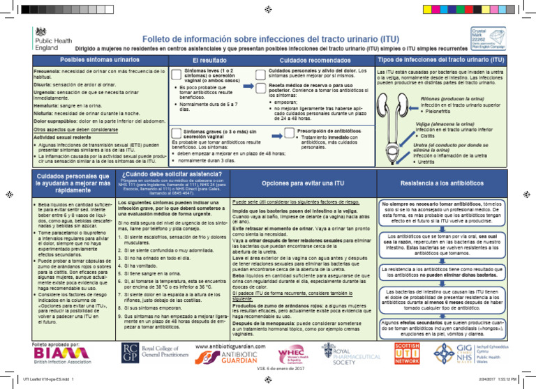 Guía de cuidados para ITU en mujeres | PDF