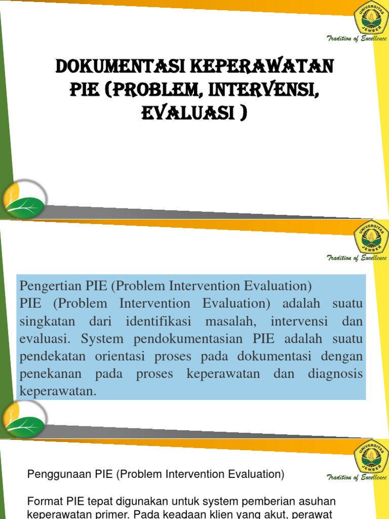 Dokumentasi Keperawatan dengan PIE | PDF