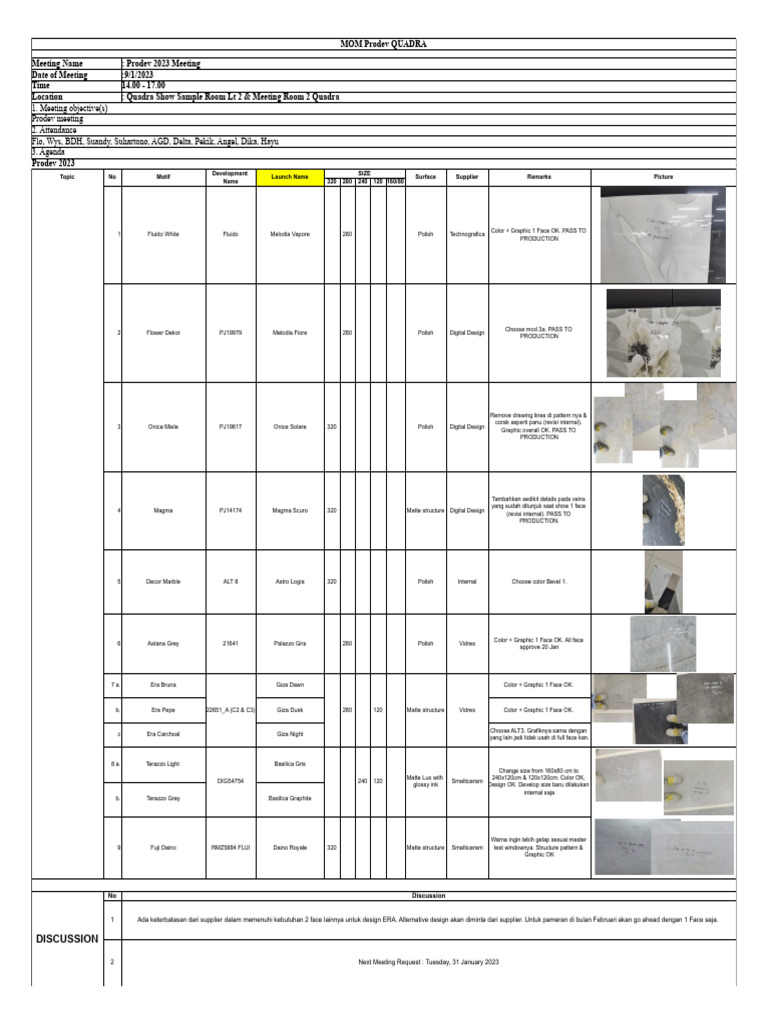 Prodev 2023 Meeting Summary | PDF