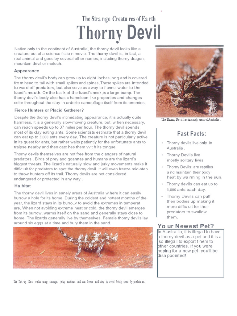 Thorny Devil: Facts and Life Cycle | PDF | Zoology