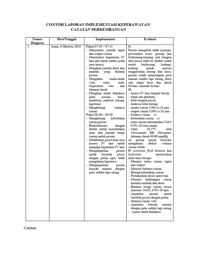 Contoh Catatan Perkembangan | PDF