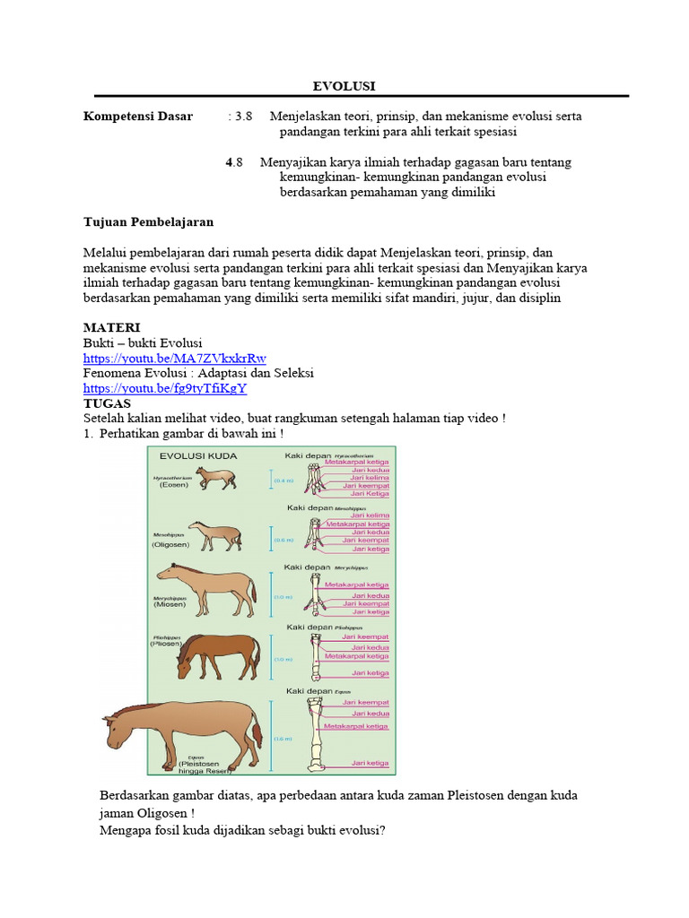 Evolusi Kuda dari Pleistosen ke Oligosen | PDF
