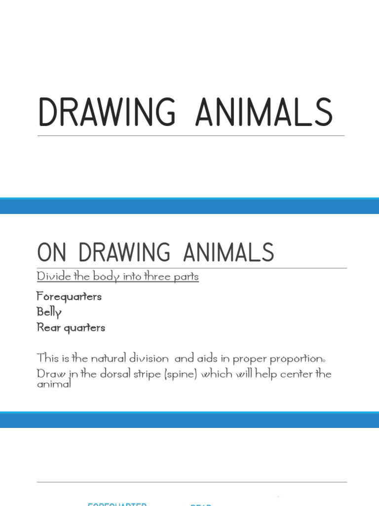 Drawing Animals | PDF