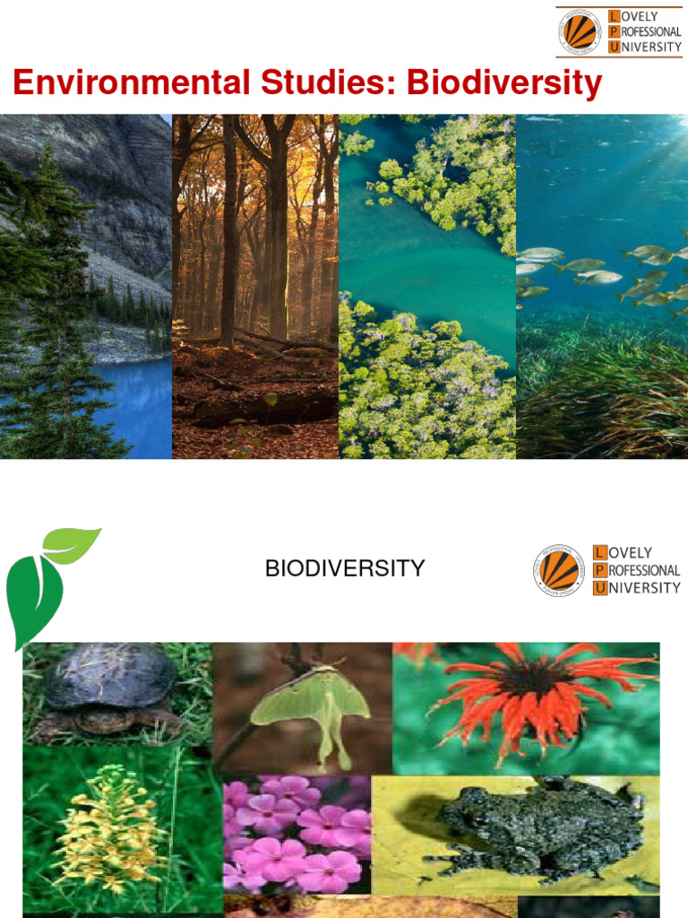 Unit 3 Biodiversity | PDF | Biodiversity | Habitat Destruction