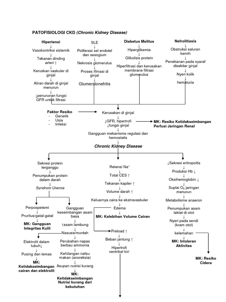 PATOFISIOLOGI CKD Chronic Kidney Disease | PDF