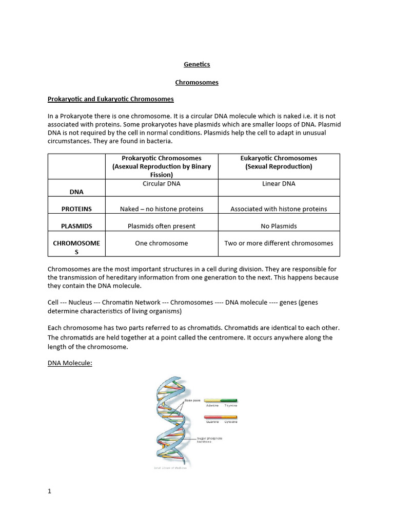 Chap 13 - Genetics and Inheritance | PDF | Ploidy | Chromosome