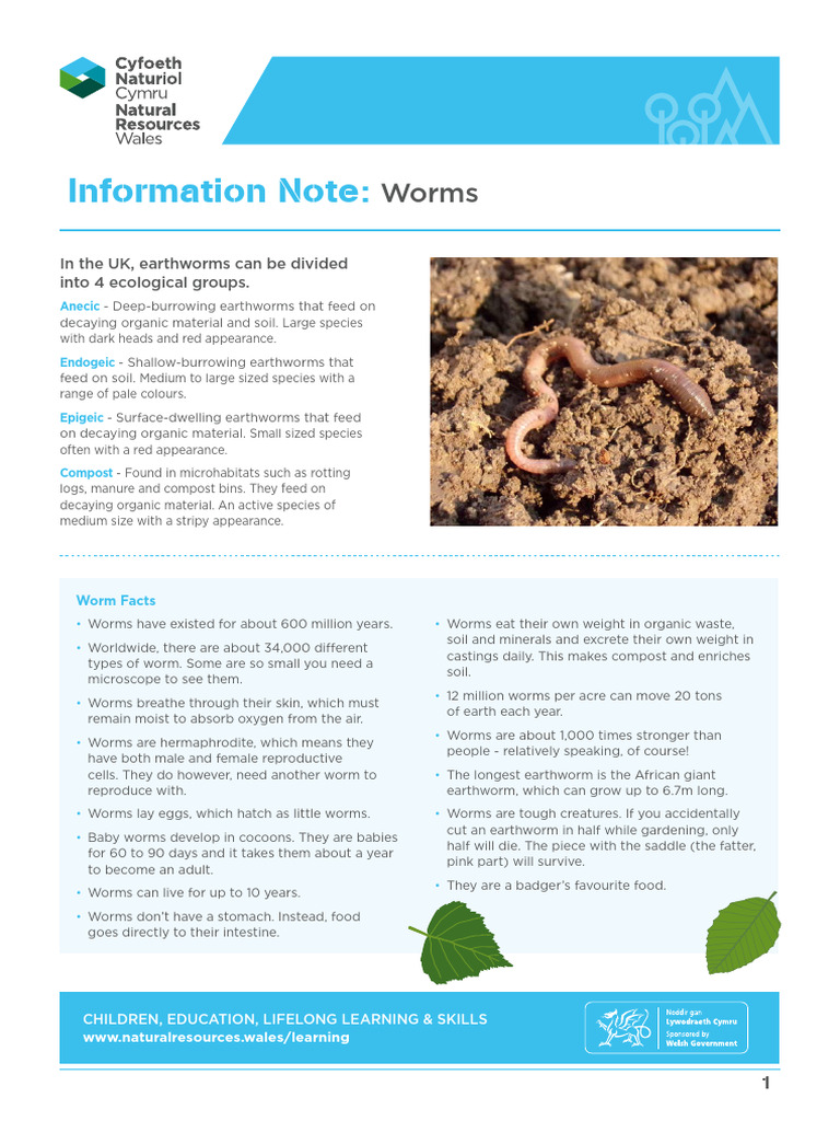 Information Note Worms | PDF