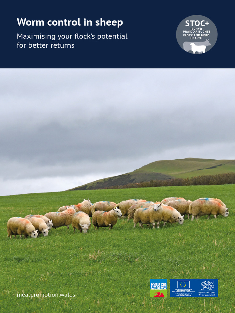 RMDP Worm Sheep ENG Single Pages | PDF | Sheep | Selective Breeding