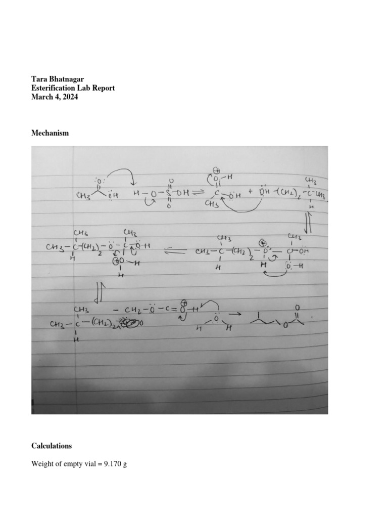 Esterification Lab Report: Isopentyl Acetate | PDF | Ester | Carbon ...