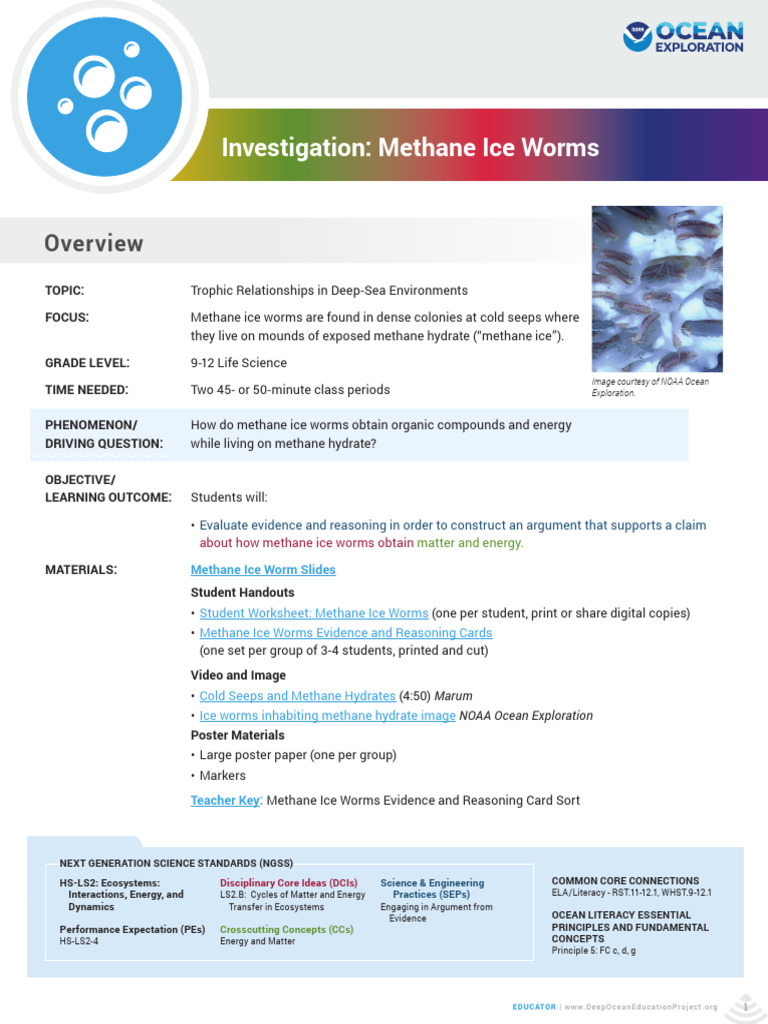 Student Investigation Methane Ice Worms | PDF | Symbiosis | Bacteria