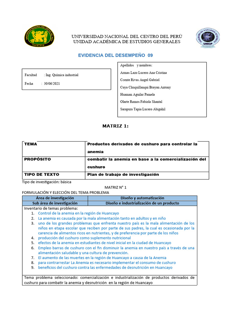 Matriz de Trabajo 1 | PDF