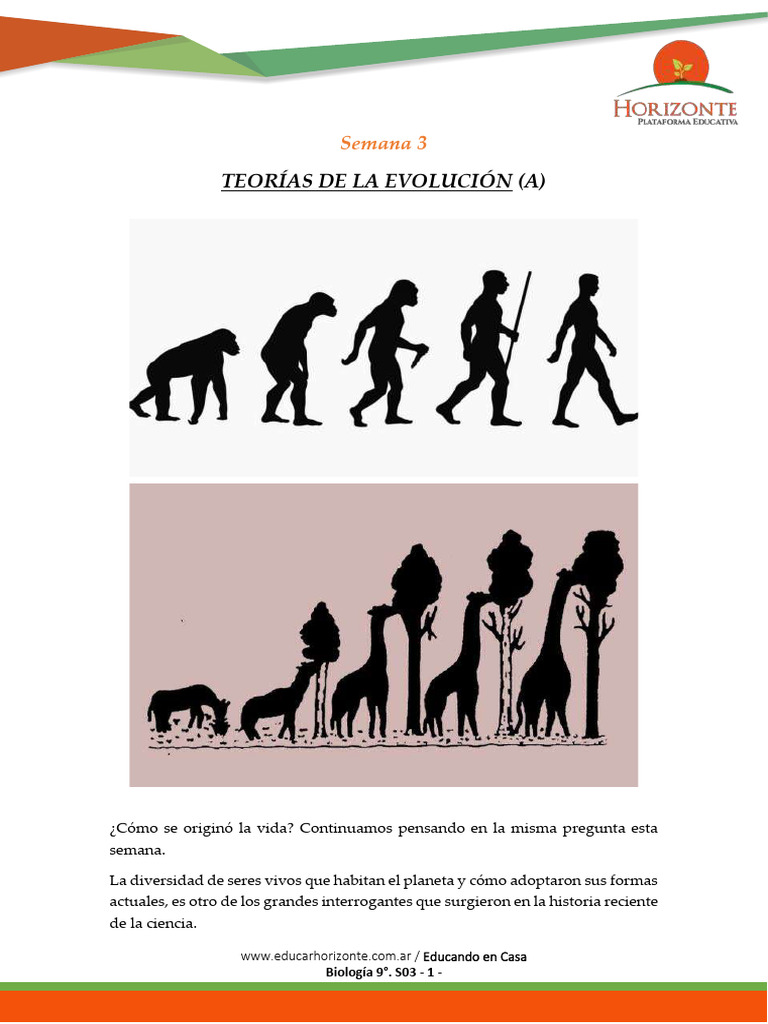 Semana 3 Teorias de La Evolucion A Recurso | PDF | Evolución | Charles ...
