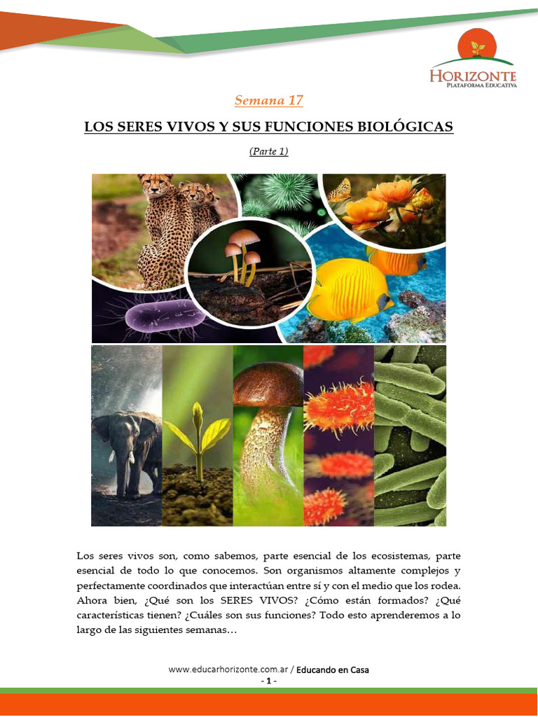 Semana 17 Los Seres Vivos y Sus Funciones 1 1 | PDF | Organismos ...