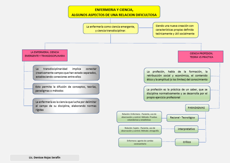 MAPA CONCEPTUAL | PDF | Enfermería | Paradigma