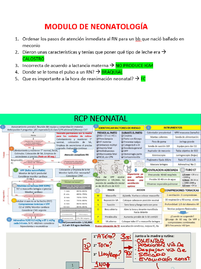 RCP Neonatal | PDF