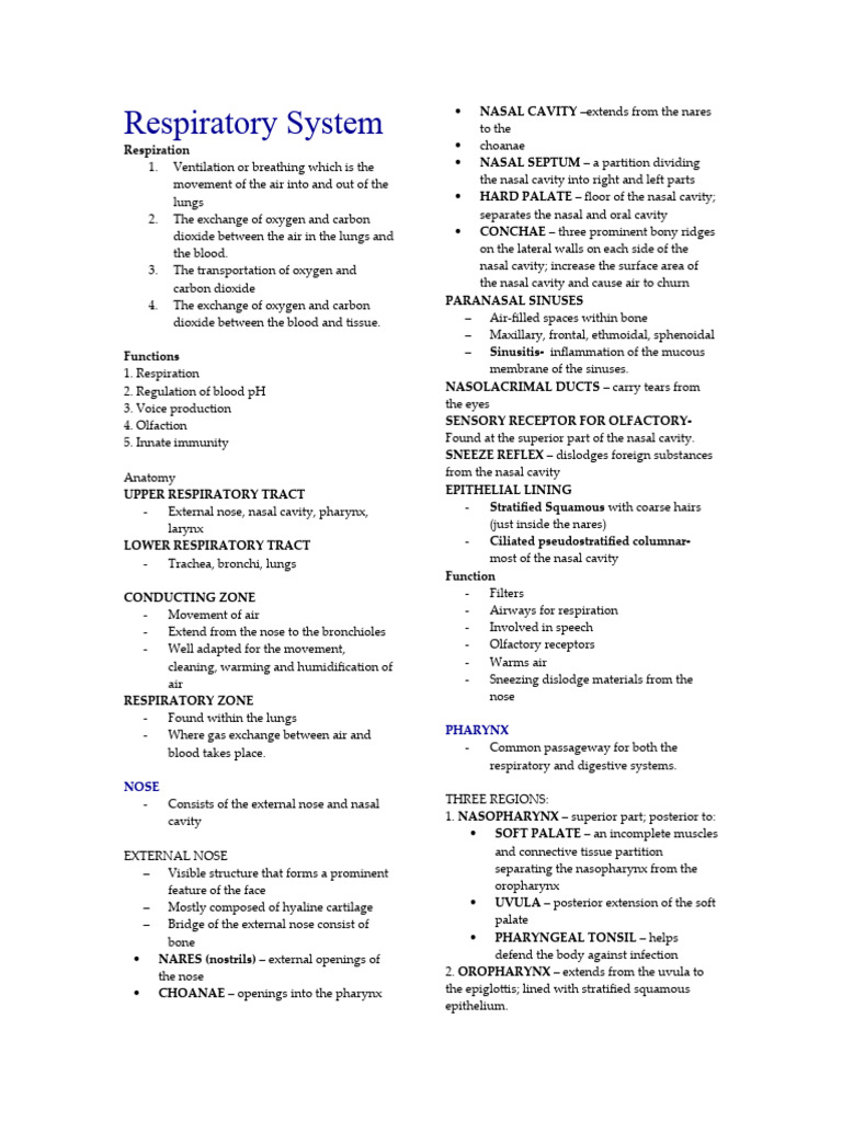 Respiratory System Pdf Lung Respiratory Tract