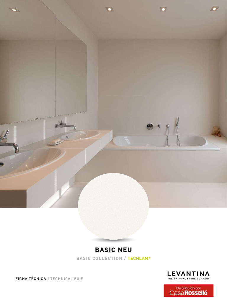 BASIC NEU Ficha 4 - Tecnica | PDF