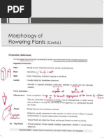 Dicot Embryo Development Stages | PDF | Embryo | Branches Of Botany