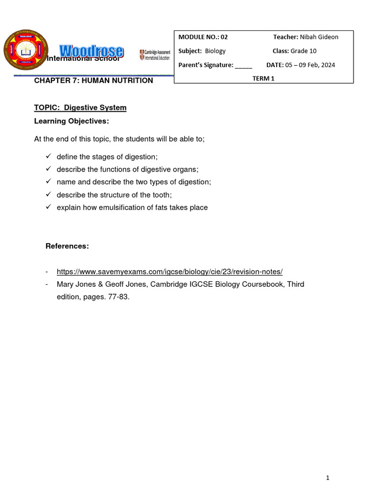Bio Igcse 1 Module 2 Pdf Digestion Human Digestive System