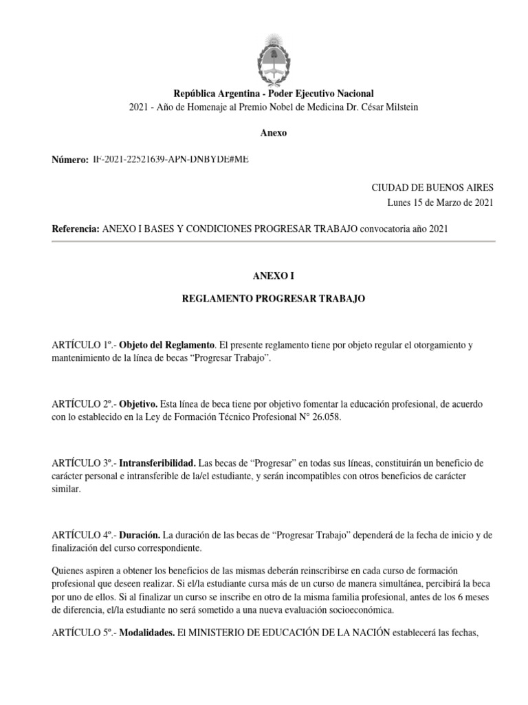 REGLAMENTO FINAL BPT | PDF