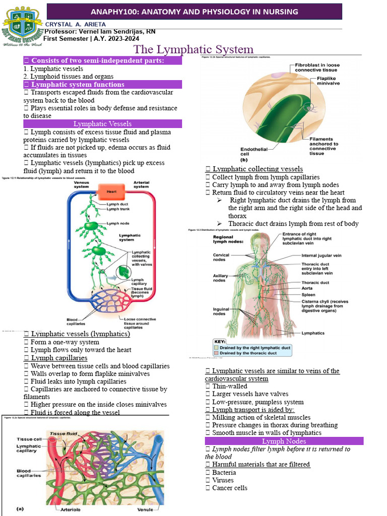 CHAP12 | PDF | Lymphatic System | Lymph