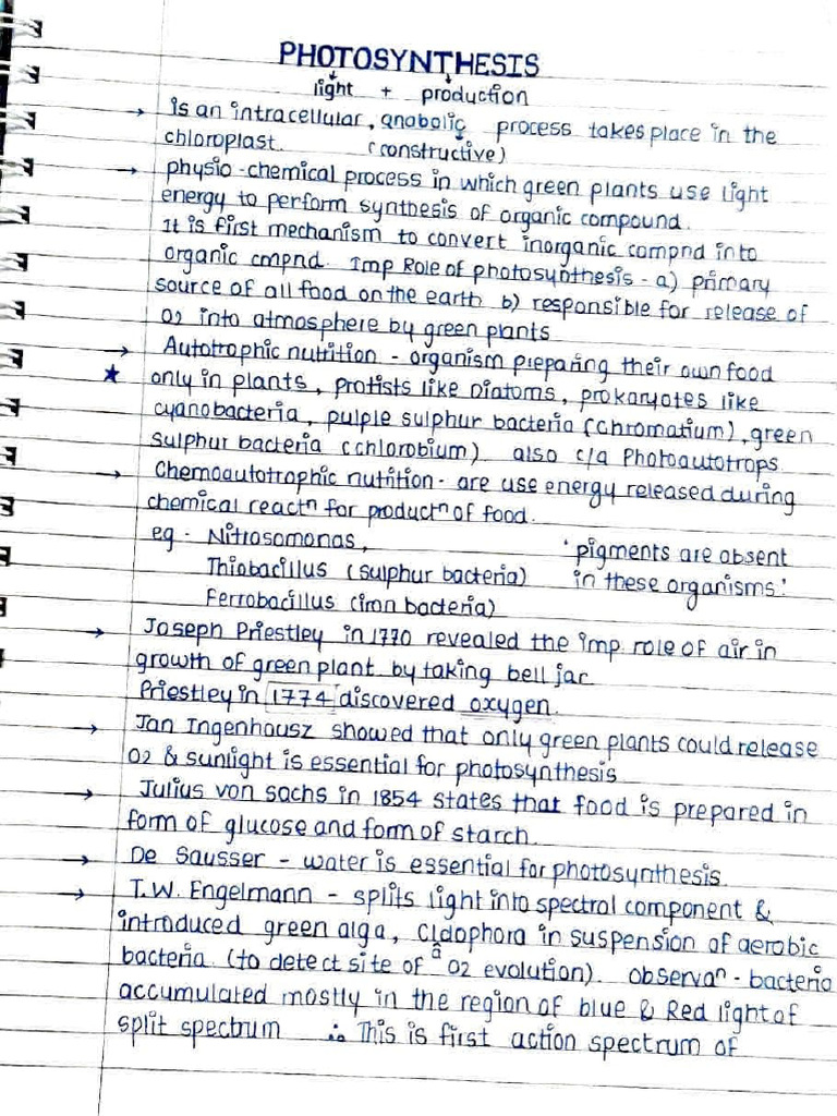 Understanding Photosynthesis Processes | PDF | Photosynthesis | Chloroplast
