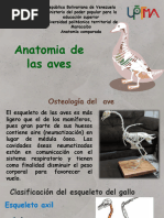 Anatomía y fisiología del pato | PDF | Pato | Domesticación