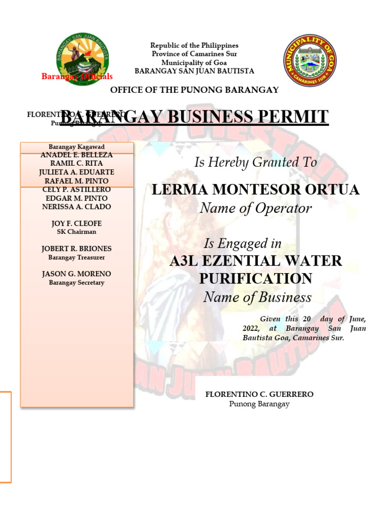 Business Permit | PDF