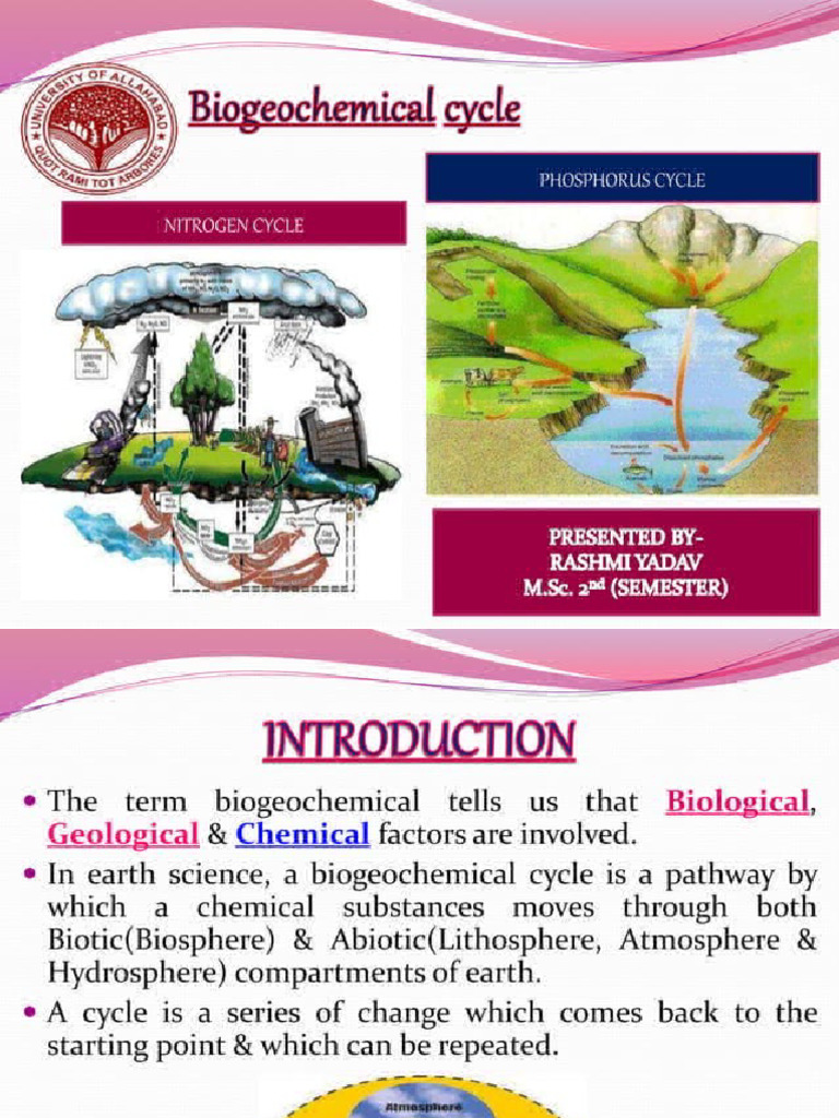 Biochemical Cycle | PDF