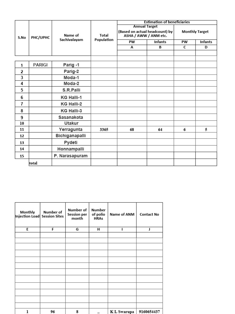 Ri Session Actionplan - PHC Parigi.2024 25 | PDF | Drugs | Medical Specialties