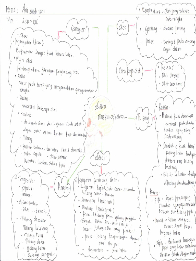 Mindmap Sistem Muskuloskeletal Ani Andriyani | PDF