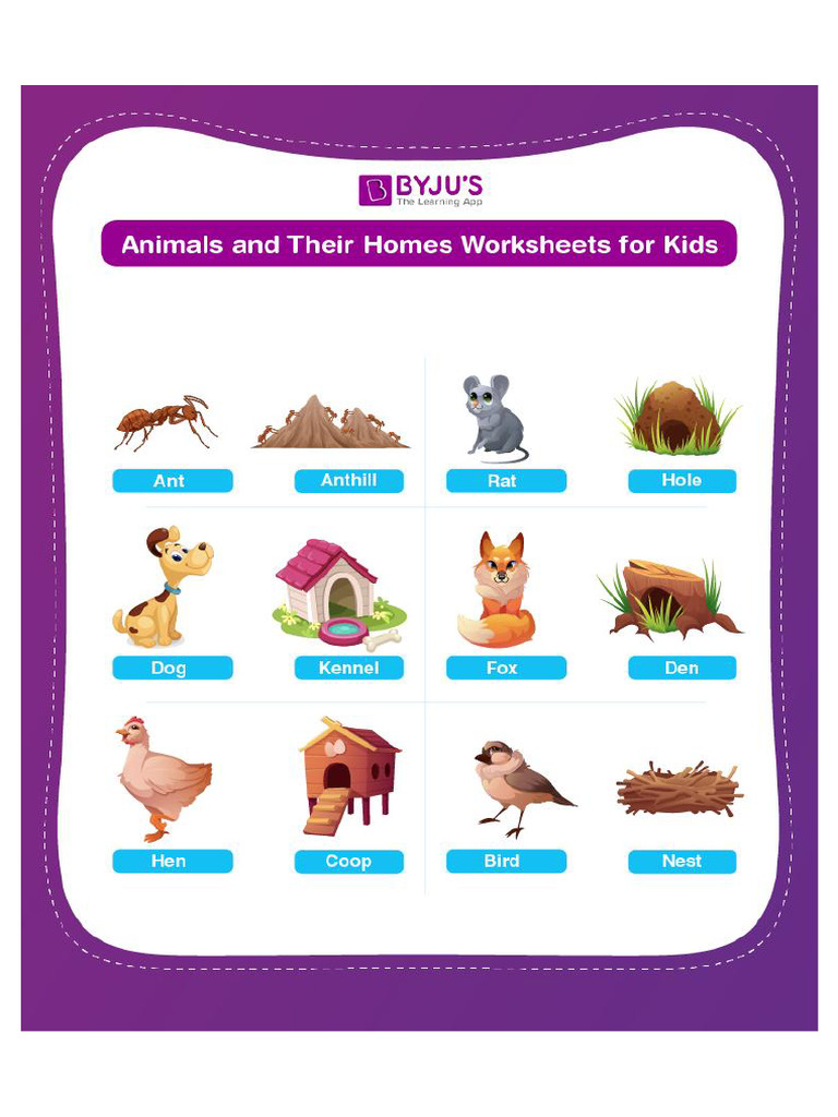 Animals and Their Homes Worksheets For Kids 02 | PDF
