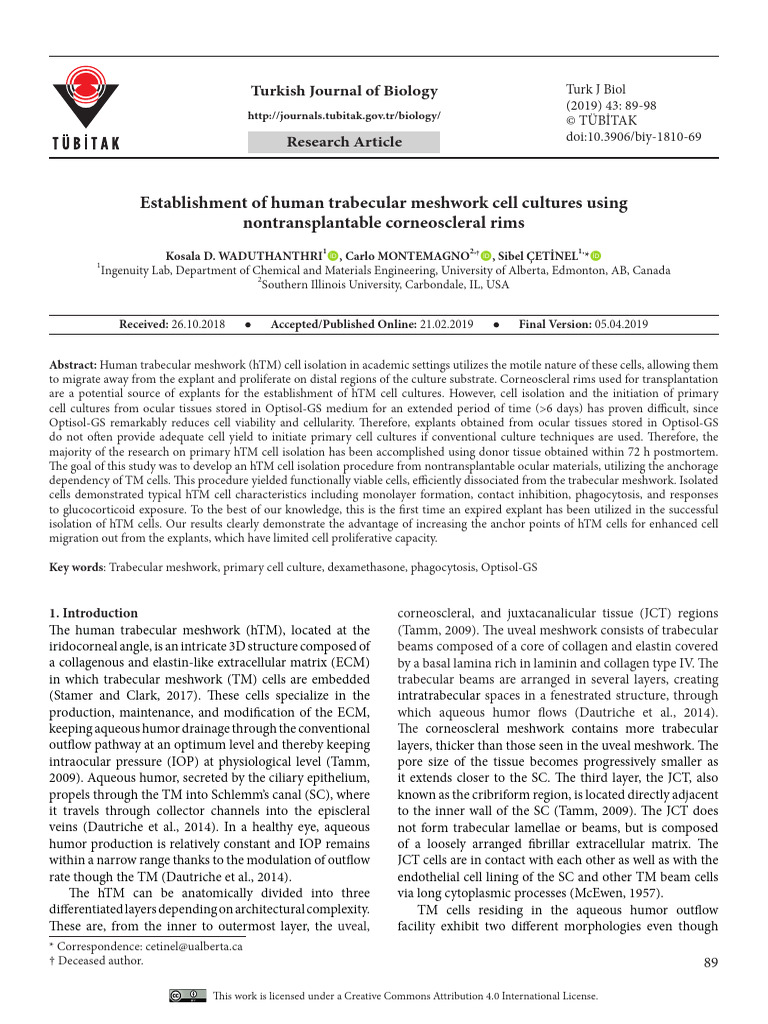 2019.establishment of Human Trabecular Meshwork Cell Cultures Using Nontransplantable ...