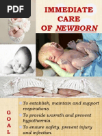 Newborn Assessment Final | PDF | Labia | Infants
