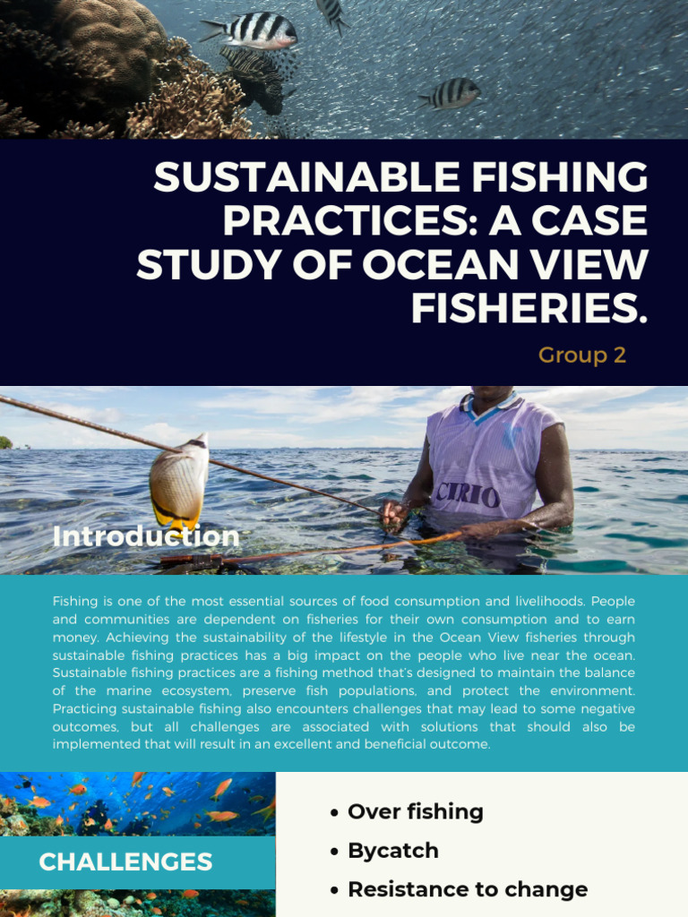 Sustainable Fishing Practices A Case Study of Ocean View Fisheries ...
