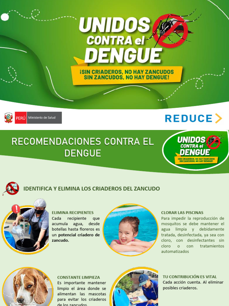 Boletín 2024-47 - Unidos Contra El Dengue | PDF | Mosquito | Causas de ...
