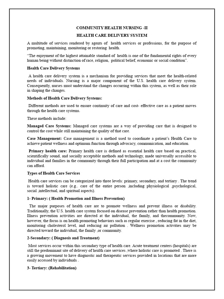 HEALTH CARE DELIVERY SYSTEM Lesson Plan | Download Free PDF | Health ...
