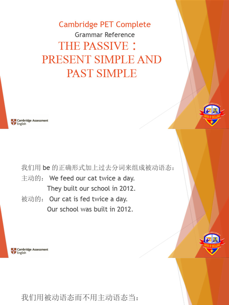Unit 11 the Passive Present Simple and Past Simple | PDF