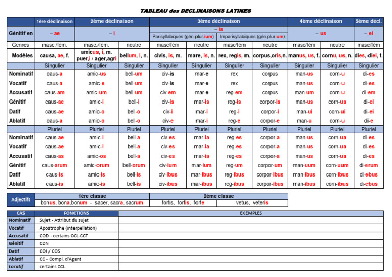 Tableau des Déclinaisons Latines | PDF | Typologie linguistique ...