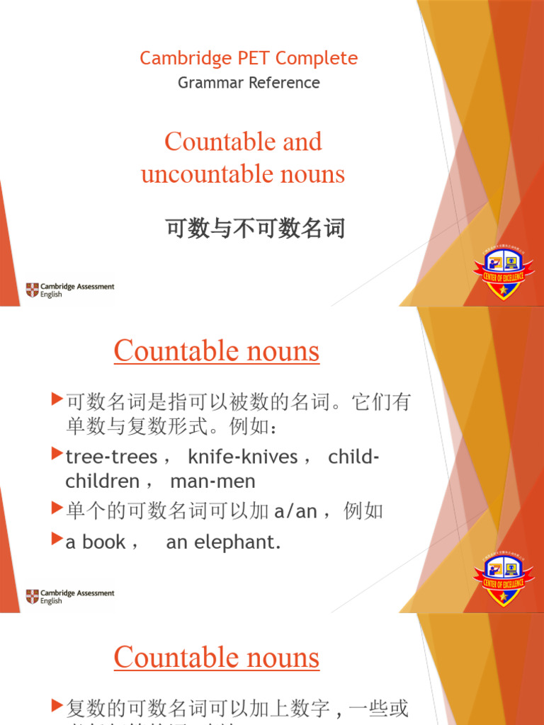 Unit 1 Countable and Uncountable Nouns | PDF
